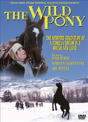 The Wild Pony, Sullivan Entertainment (Manufactured ) - Shop Online for ...