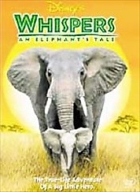 Whispers An Elephant's Tale - Shop Online for Movies, DVDs in Australia