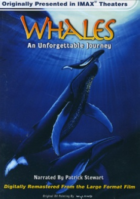 Imax Whales by Sony Music - Shop Online for Movies, DVDs in Australia