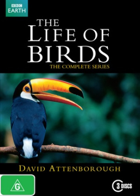 The Life of Birds The Complete Series (David Attenborough) by BBC ...