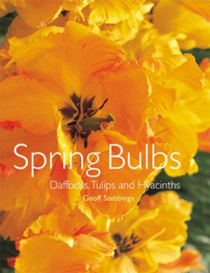 Spring Bulbs, Geoff Stebbings - Shop Online for Books in Australia