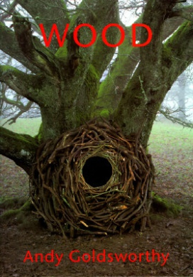Wood, Andy Goldsworthy - Shop Online for Books in Australia