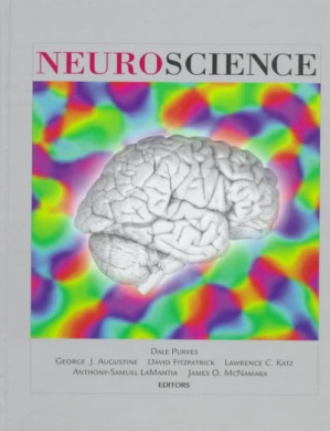 Neuroscience, Dale Purves (Edited ) etc (Edited ) - Shop Online for ...