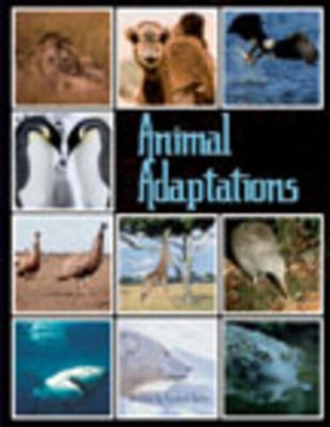 Springboard into Comprehension Level 5 Animal Adaptations by Macmillan ...