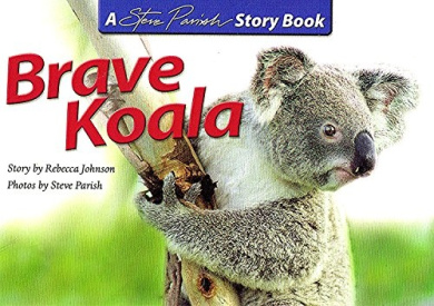 Brave Baby Koala by Steve Parish Publishing Pty Ltd - Shop Online for ...