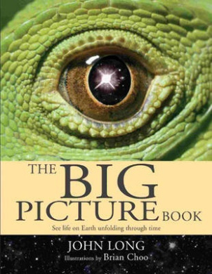 The Big Picture Book, John A Long Brian Choo (Illustrated ) - Shop ...