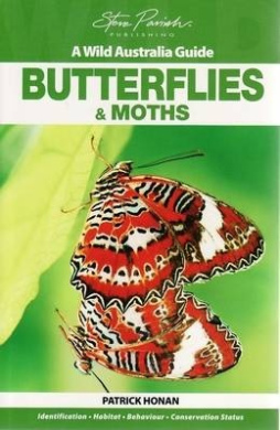 Butterflies and Moths, Patrick Honan - Shop Online for Books in Australia