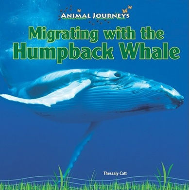 Migrating with the Humpback Whale (Animal Journeys), ThessalyCatt ...