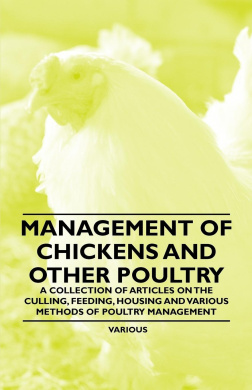 Management of Chickens and Other Poultry - A Collection of Articles on ...