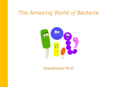 The Amazing World of Bacteria by Green Microbes Australia - Shop Online ...