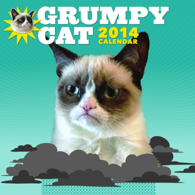 Grumpy Cat, Chronicle Books Grumpy Cat - Shop Online for Books in Australia