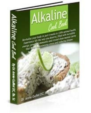 Alkaline Cook Book - Hard Cover Edition - Shop Online for Books in ...