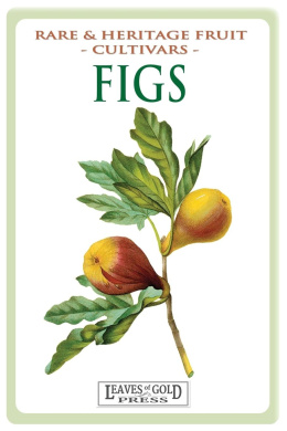 Figs, C Thornton - Shop Online for Books in Australia