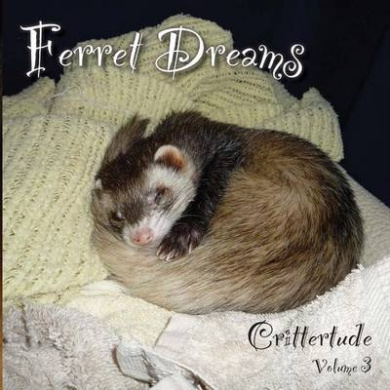 Ferret Dreams, David Martin - Shop Online for Books in Australia