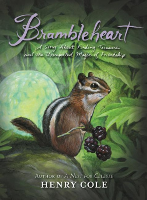 Brambleheart, Henry Cole Henry Cole (Illustrated ) - Shop Online for ...