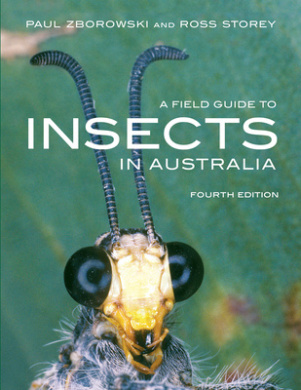 A Field Guide to Insects in Australia, Paul Storey Zborowski - Shop ...