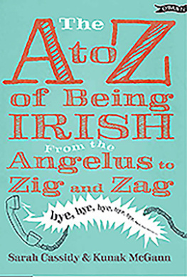 The A to Z of Being Irish, Sarah McGann Cassidy - Shop Online for Books ...
