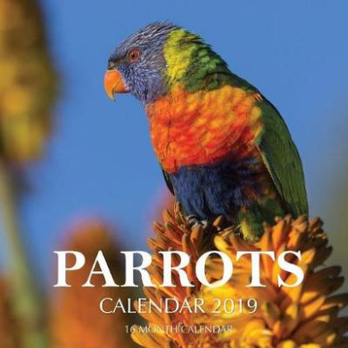 Parrots Calendar 2019, Mason Landon - Shop Online for Books in Australia