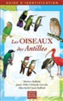 Les oiseaux des Antilles, Herbert ARaffaele - Shop Online for Books in ...